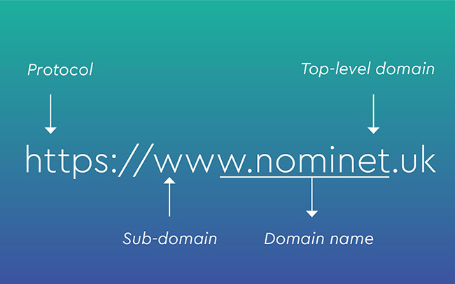 Domain Là Gì?Kiến Thức Quan Trọng Về Domain Mới Nhất 2024